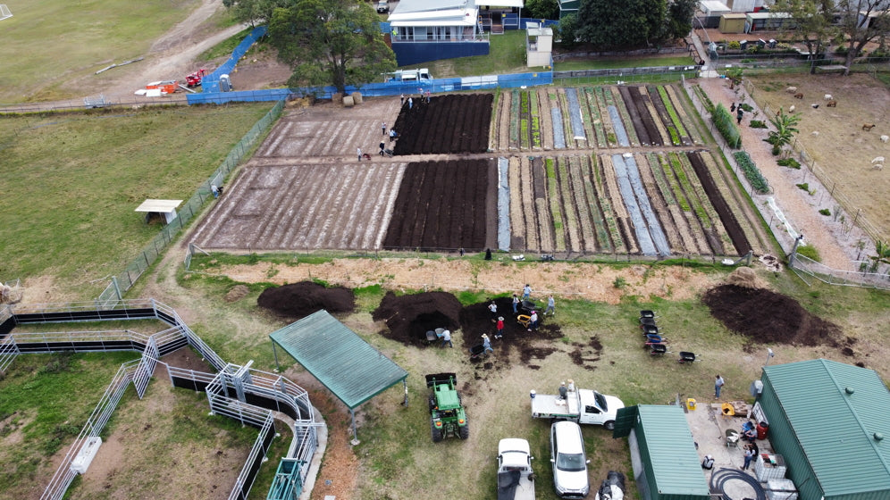 The Mini Farm Project – minifarmproject