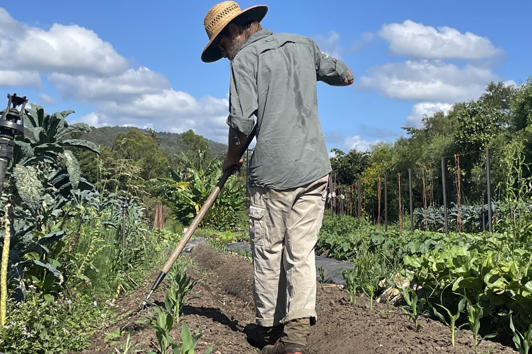 The Mini Farm Project – minifarmproject